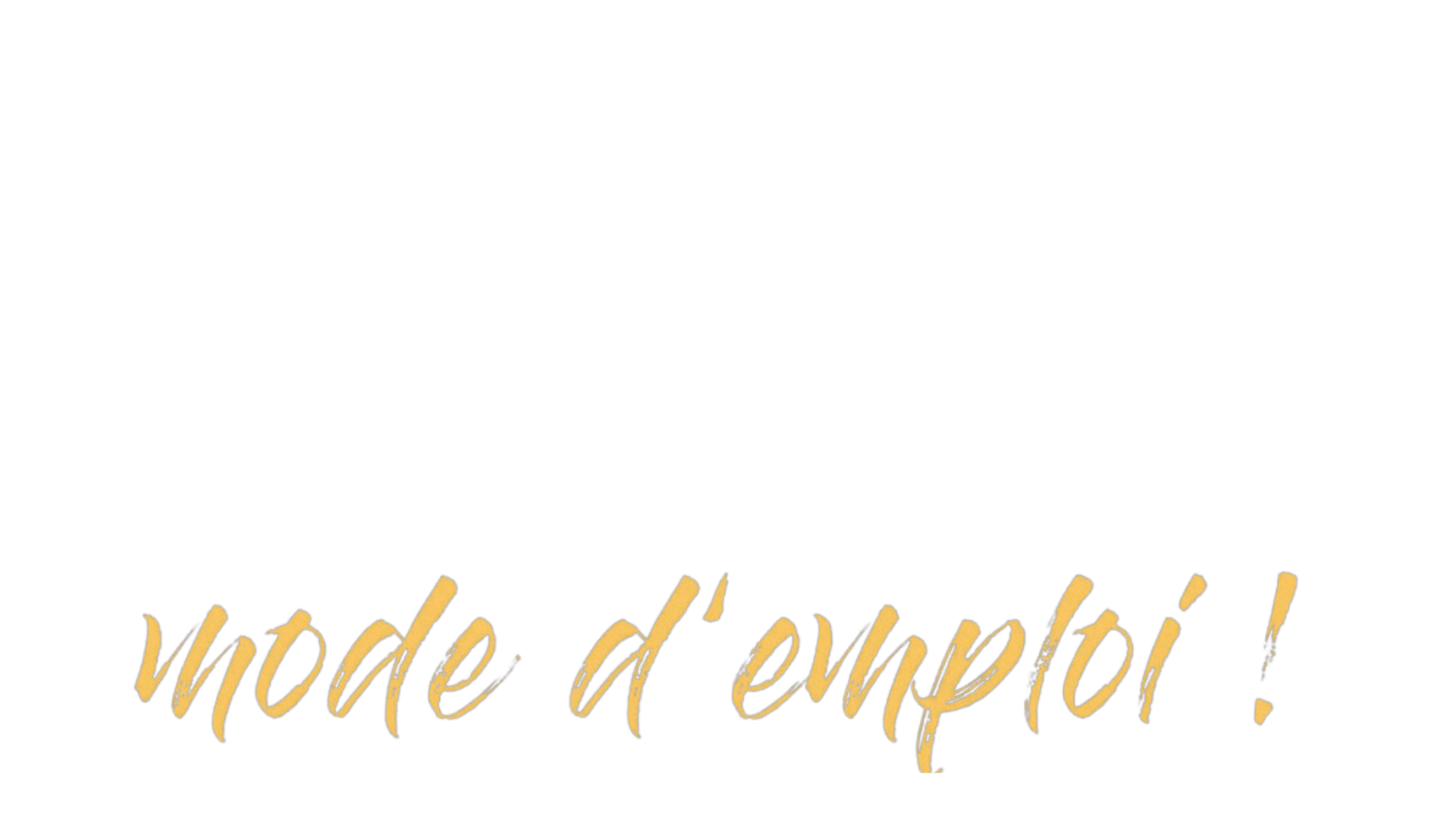 Coaching PROFESSIONNEL sur Toulouse | MANAGEMENT